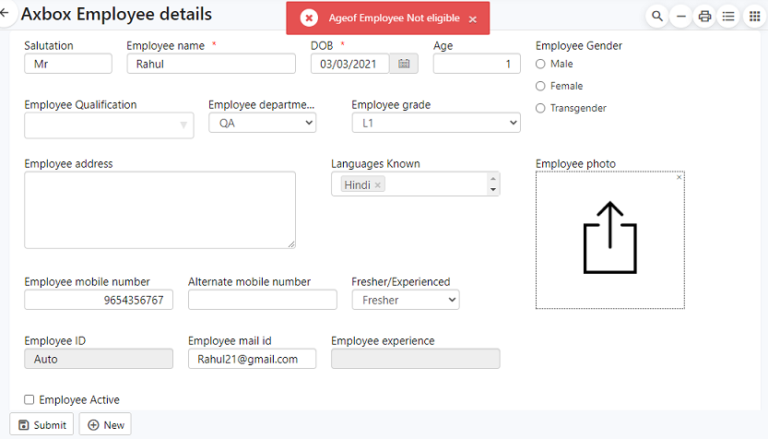 SQL in fields - Agile Developer