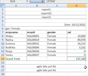 IViews –Reports & Lists - Agile Developer